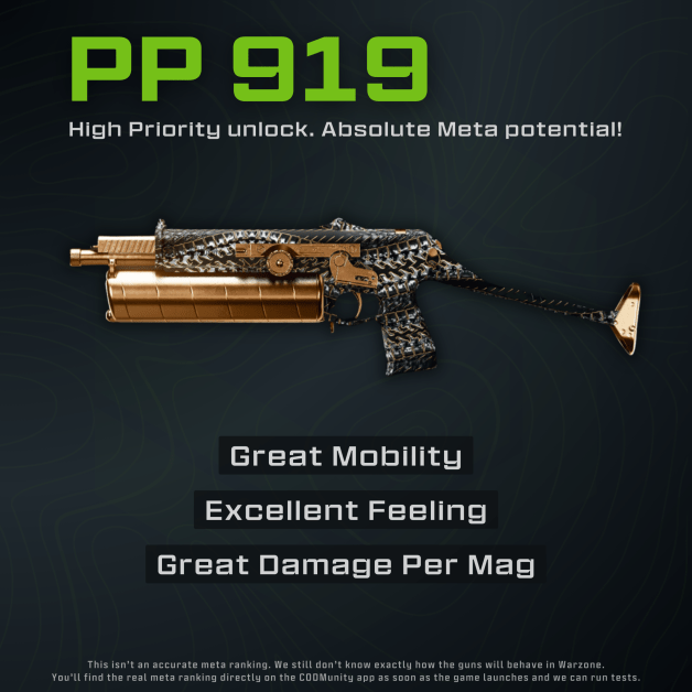 Which Black Ops 6 Guns Should You Level Up Before the Warzone ...